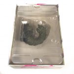 Epic Encounters: Barrow of the Corpse Crawler Review - FauxHammer